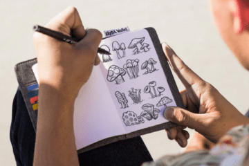 The Ultimate Guide to Monthly Art Challenges - Mega Pencil