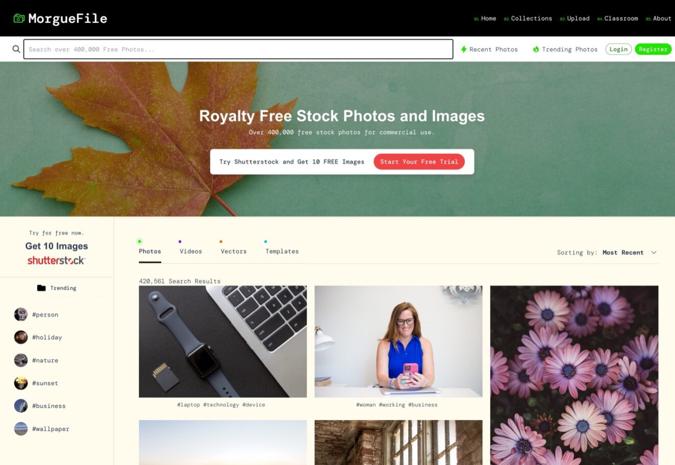 The Best Free Reference Sites for Artists in 2025 » Mega Pencil