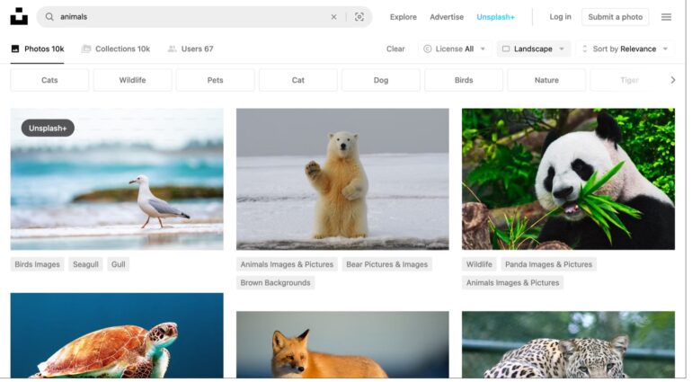 The Best Animal Reference Sources for Artists » Mega Pencil