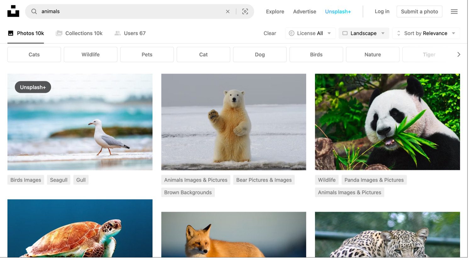 The Best Animal Reference Sources for Artists » Mega Pencil