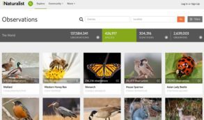 The Best Animal Reference Sources for Artists » Mega Pencil